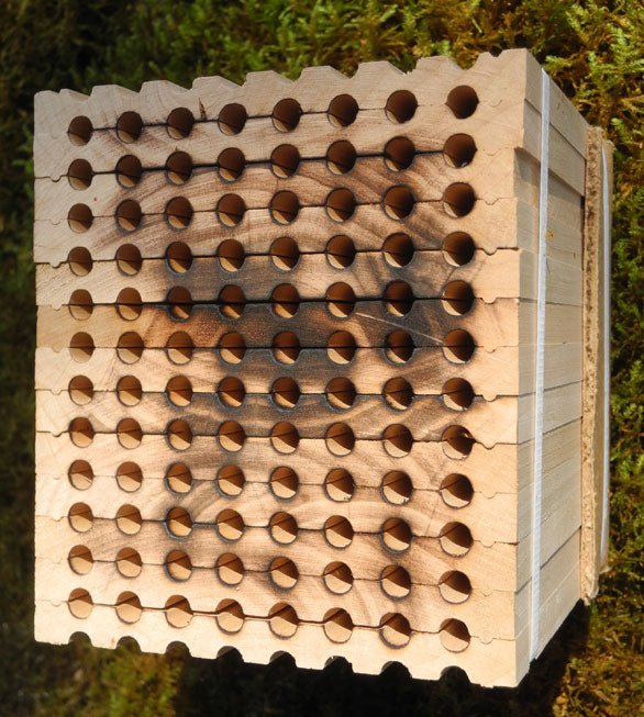 Nesting Blocks – Mason Bee Central